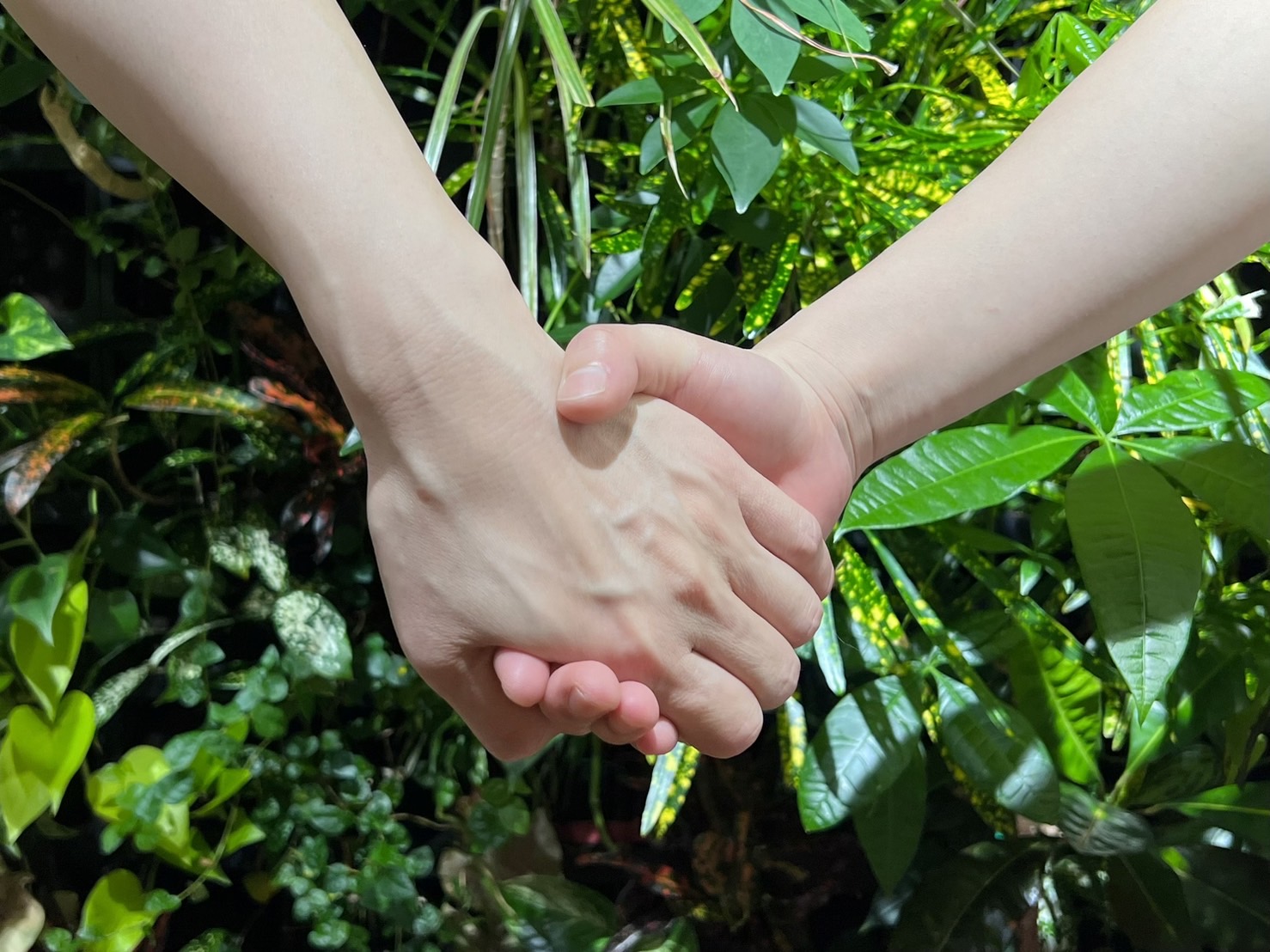 大善と小善 | 広島 エステサロン calmia カルミア スタッフブログ