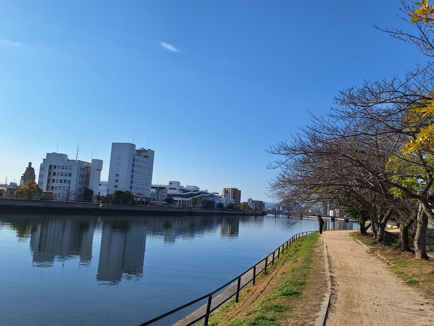 3.11 | 広島 エステサロン calmia カルミア スタッフブログ